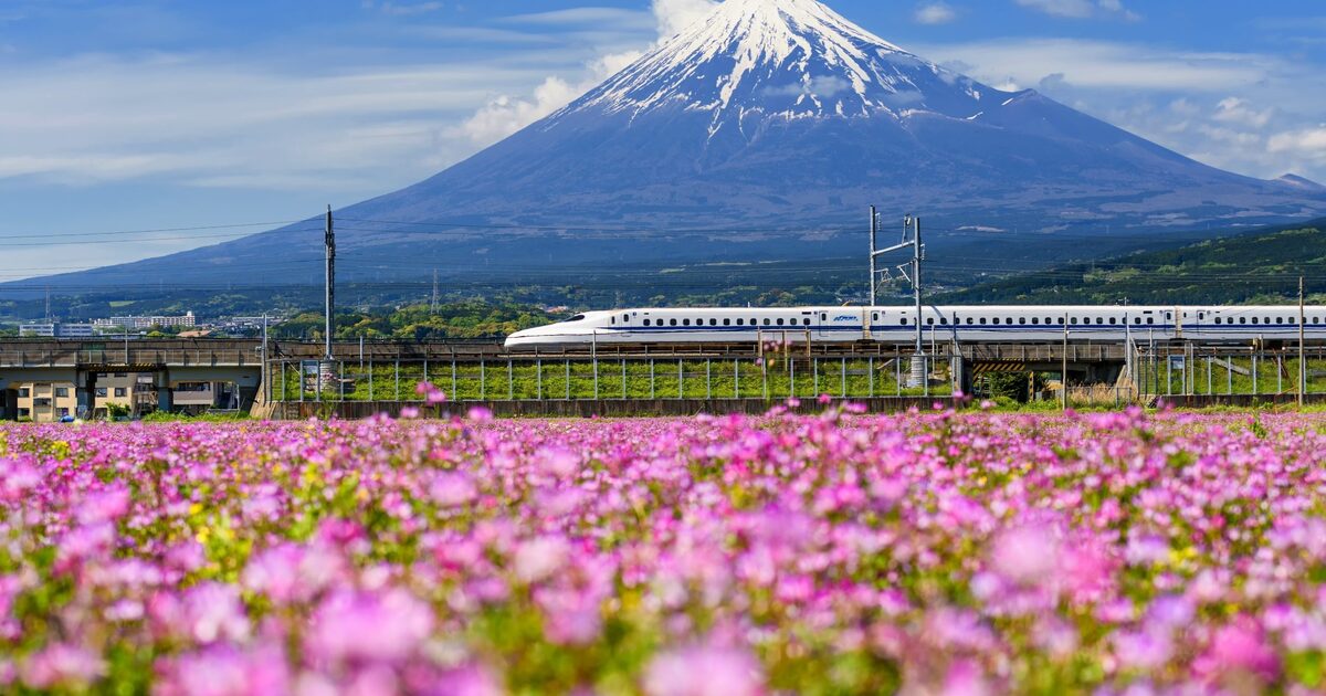 Book Rail & Sail Holidays 2026–2027